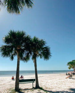 Best RV Park in Florida | RV Resort Florida | Caladesi RV Park